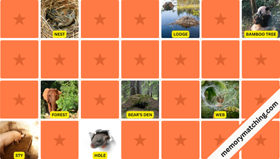 Animal Habitats Matching Game for Kids – Free Online